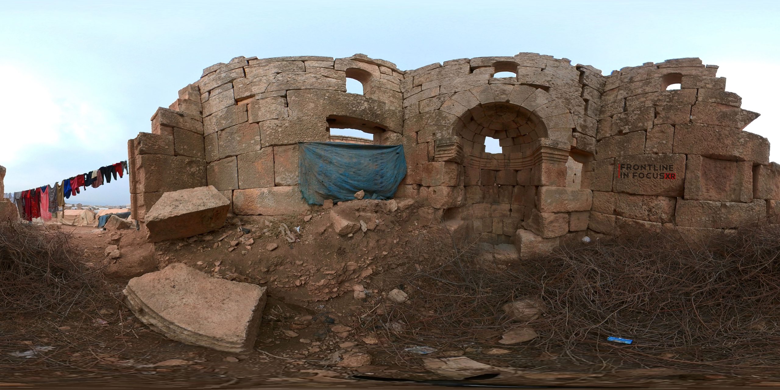 Life in Ruins